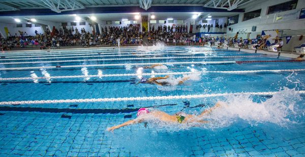 Viu el Vallès | Club Natació Sabadell