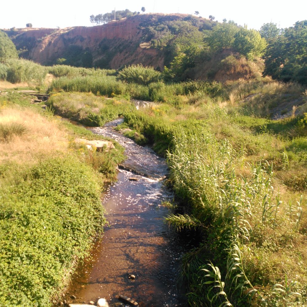 Viu el Vallès | El riu Ripoll de Sant Julià d’Altura a Sant Oleguer: un ...